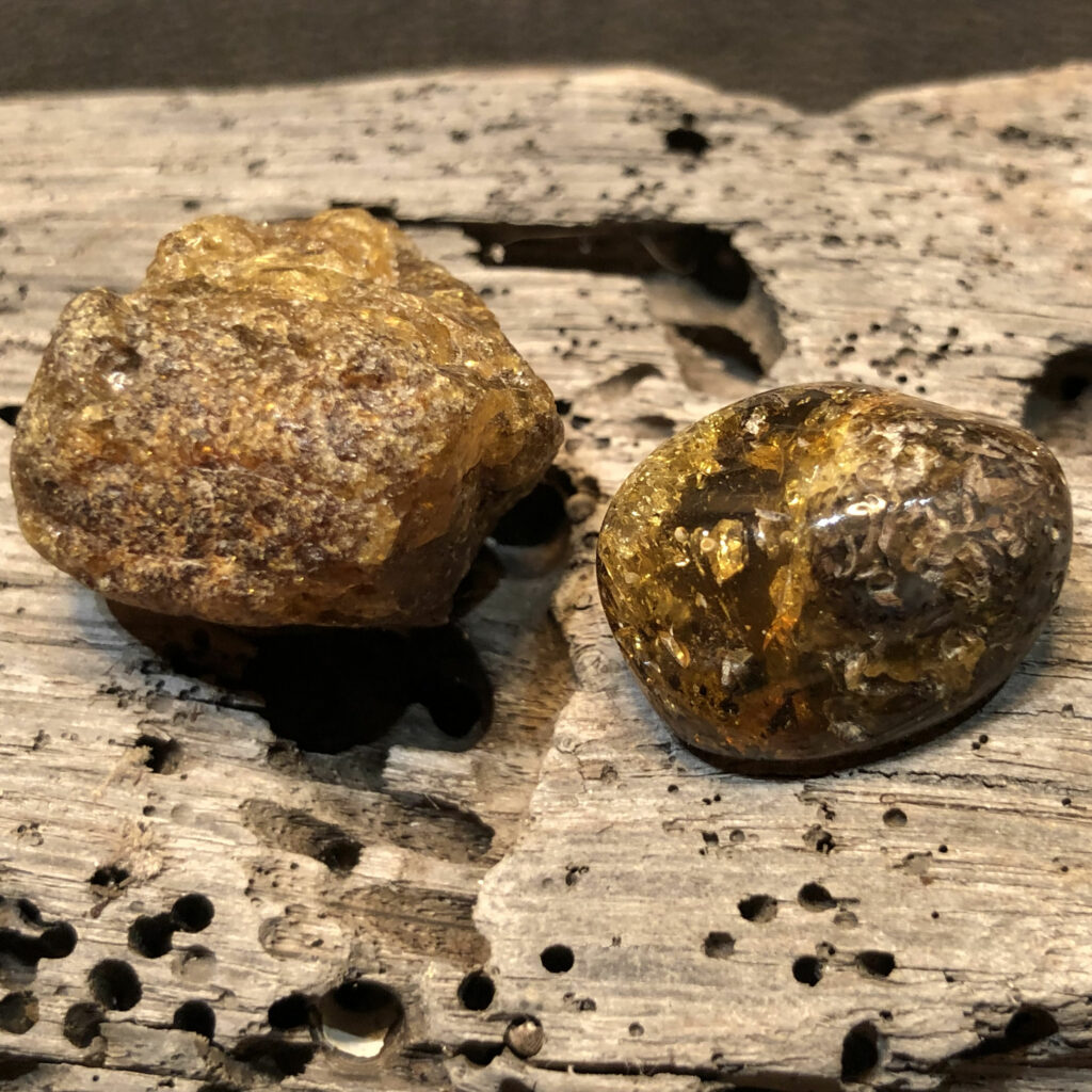 Varianter af baltisk rav - Præsentation af det baltiske ravs mange udtryk