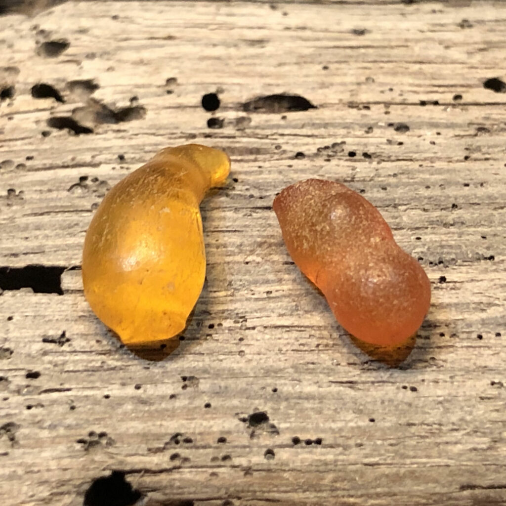 Varianter af baltisk rav - Præsentation af det baltiske ravs mange udtryk