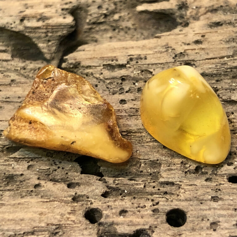 Varianter af baltisk rav - Præsentation af det baltiske ravs mange udtryk